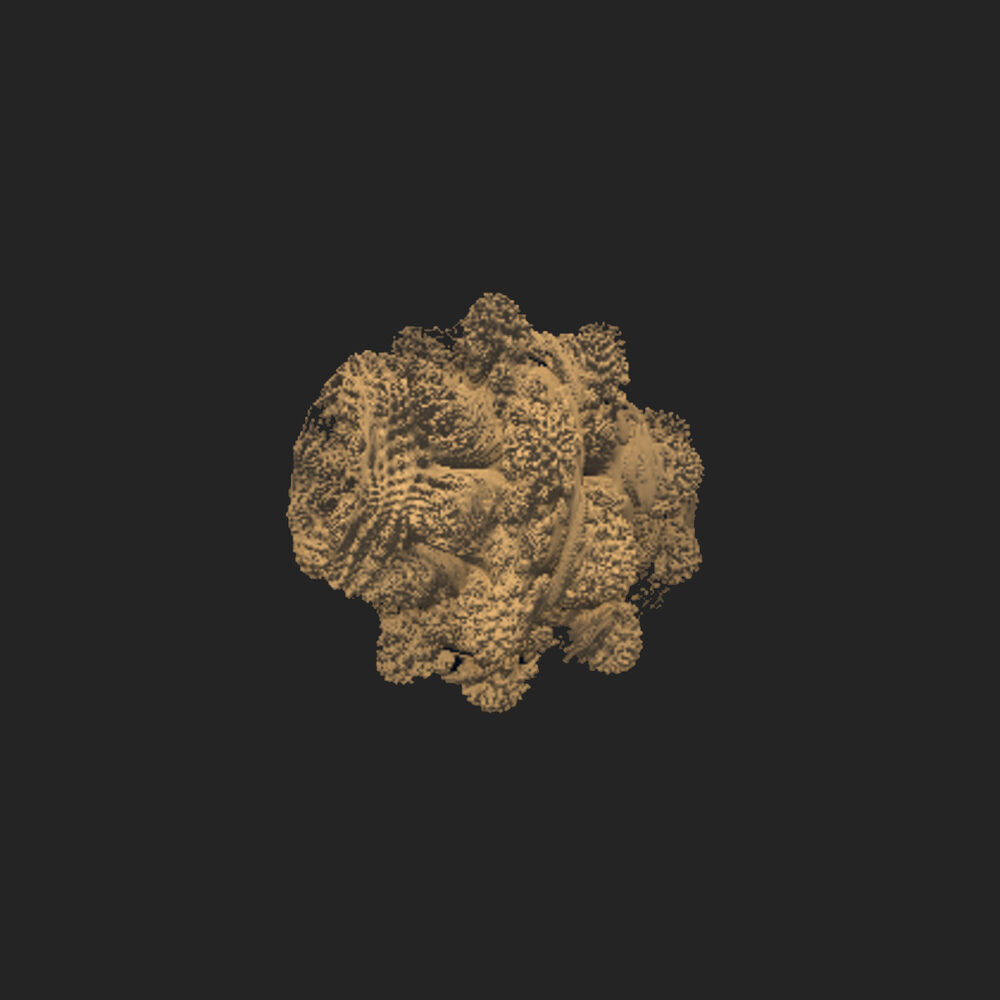 Mandelbulb | Fractal Garden